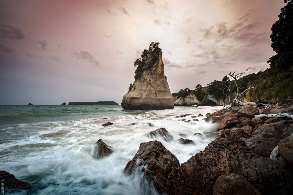 Visiter la Péninsule du Coromandel : 3 lieux incontournables – Ellezela